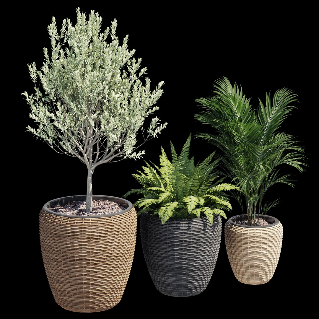 Powder 3D Model - TurboSquid 1811203