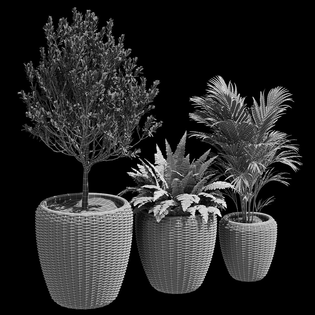 Powder 3D Model - TurboSquid 1811203