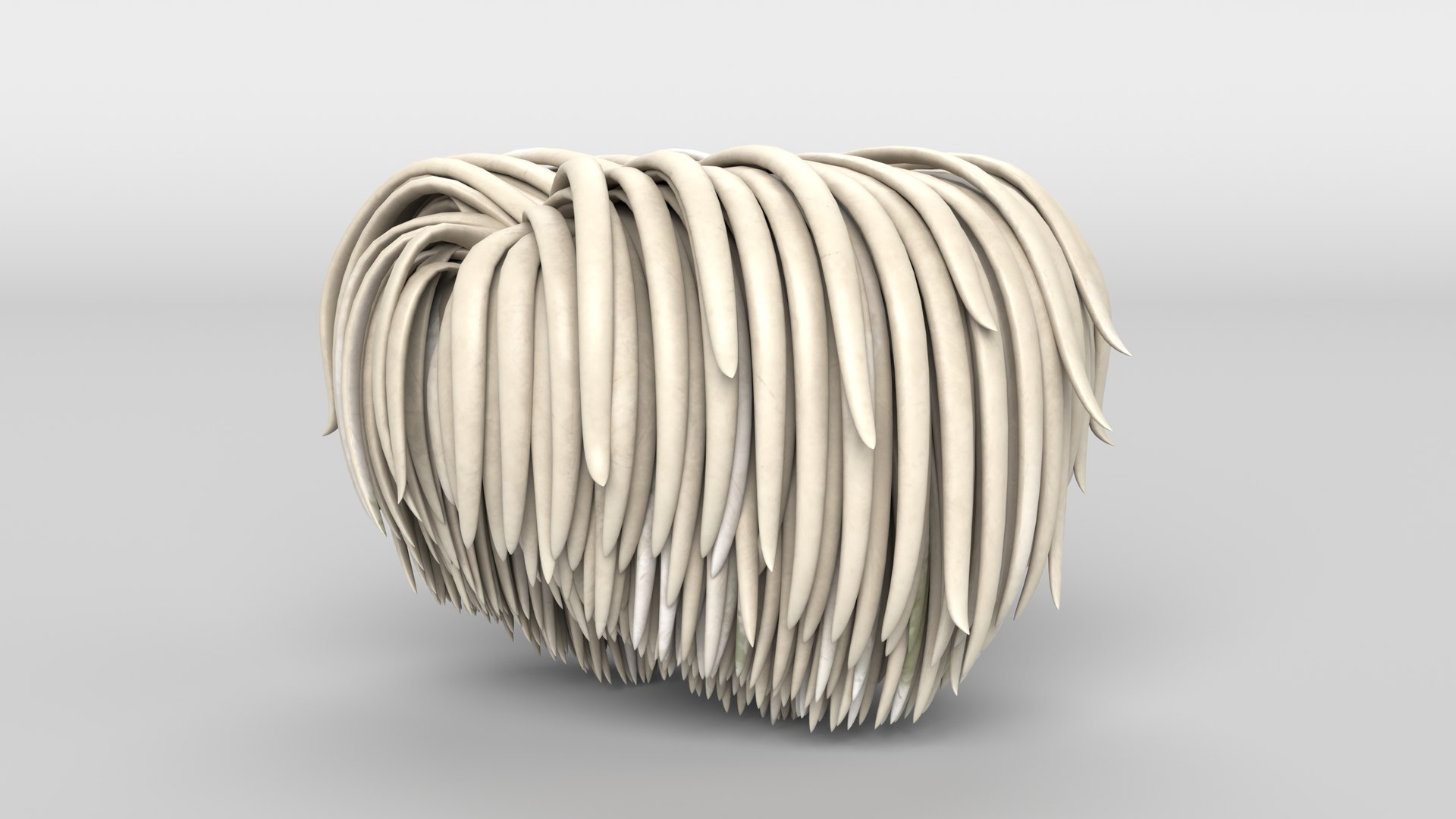 Lions Mane Mushroom 3D Model - TurboSquid 1949775