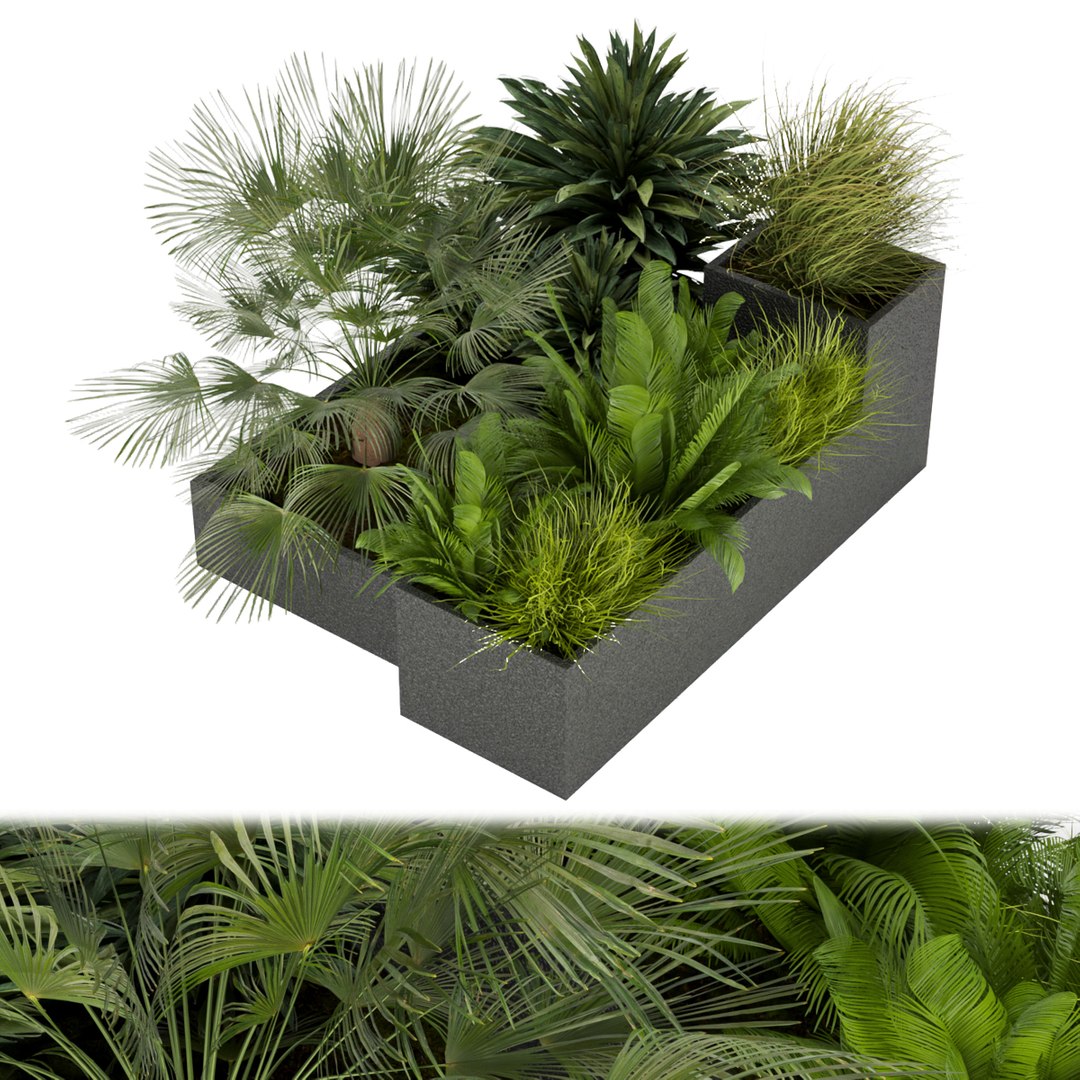 3D Collection plant vol 302 leaf outdoor - blender - 3dmax - cinema4d ...