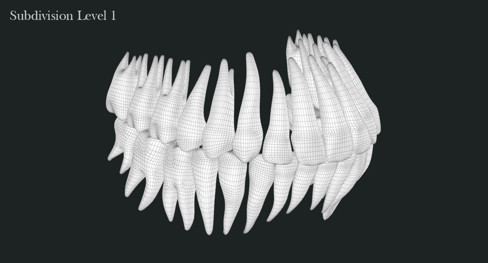 3D Permanent Dentition Model - TurboSquid 1333997