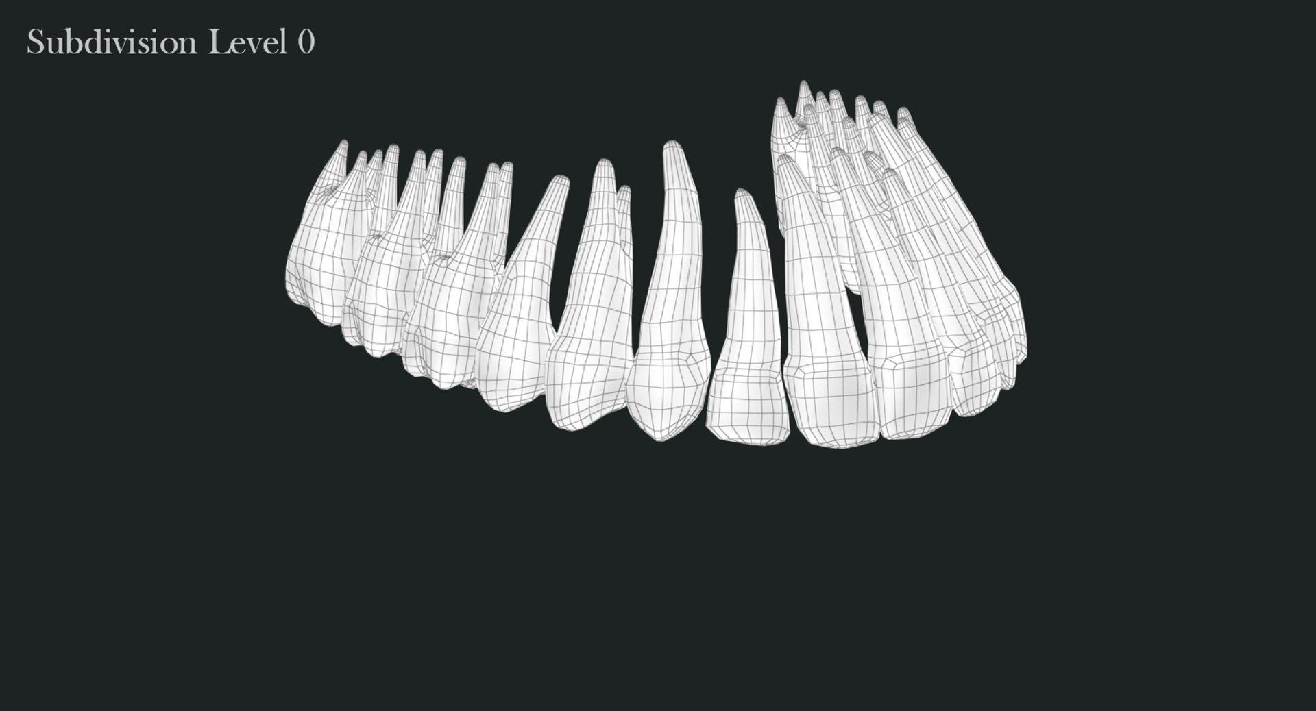 3D Permanent Dentition Model - TurboSquid 1333997