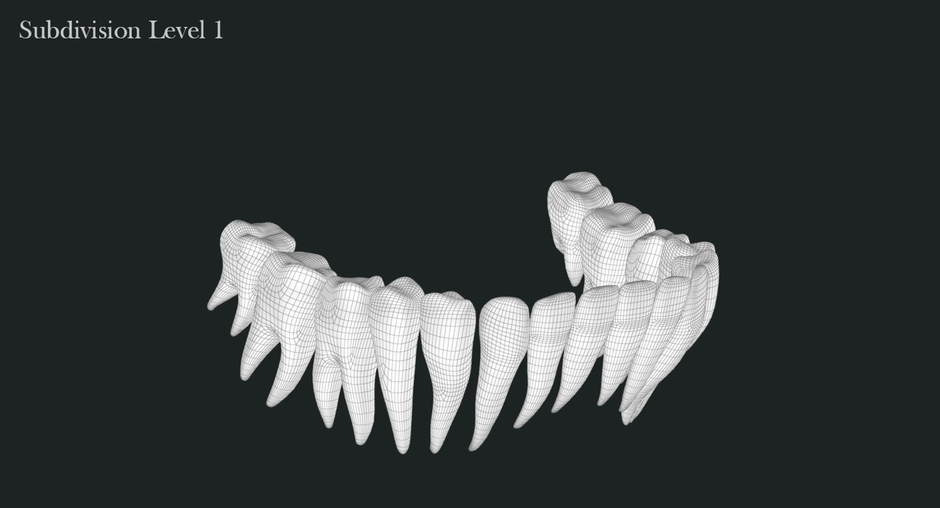 3D Permanent Dentition Model - TurboSquid 1333997