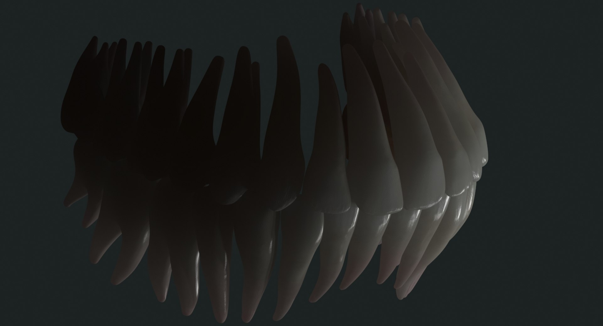 3D Permanent Dentition Model - TurboSquid 1333997