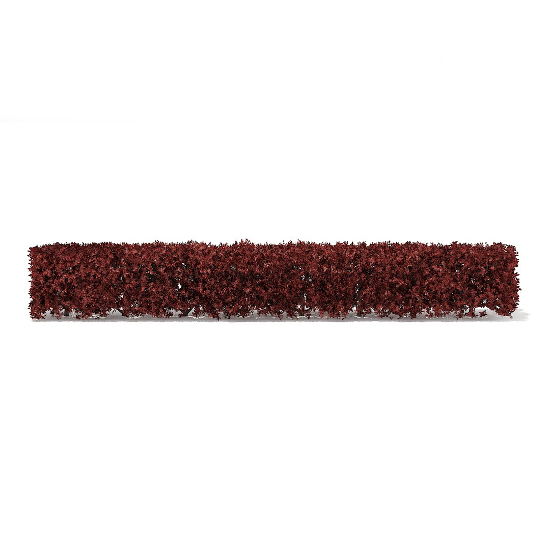 Straight red hedge 3D model - TurboSquid 1220824