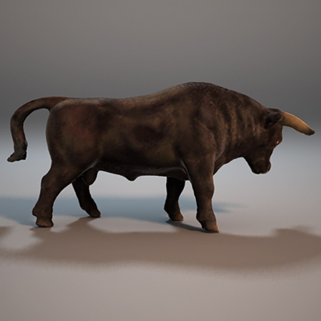 3d Obj Bull