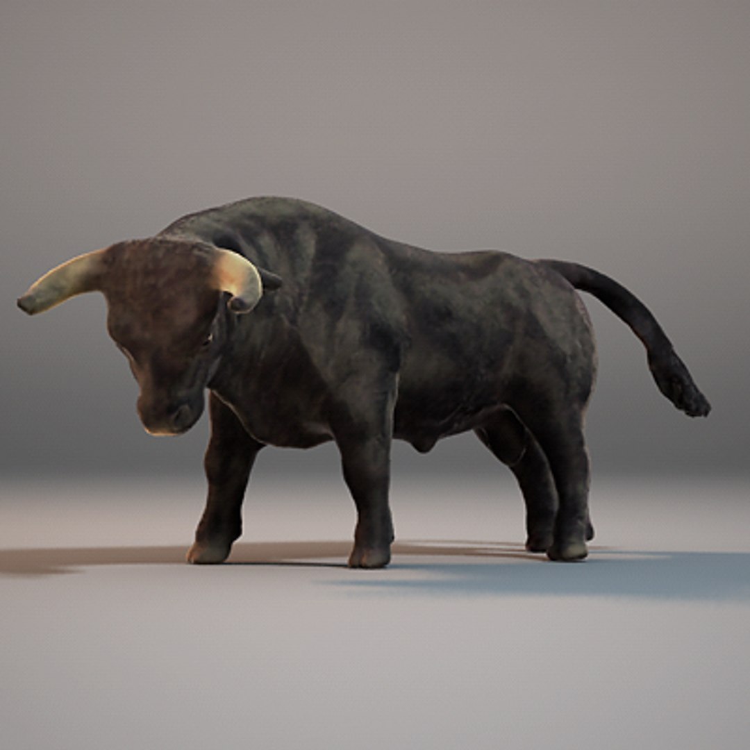 3d Obj Bull