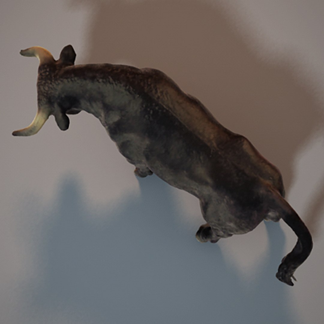 3d Obj Bull