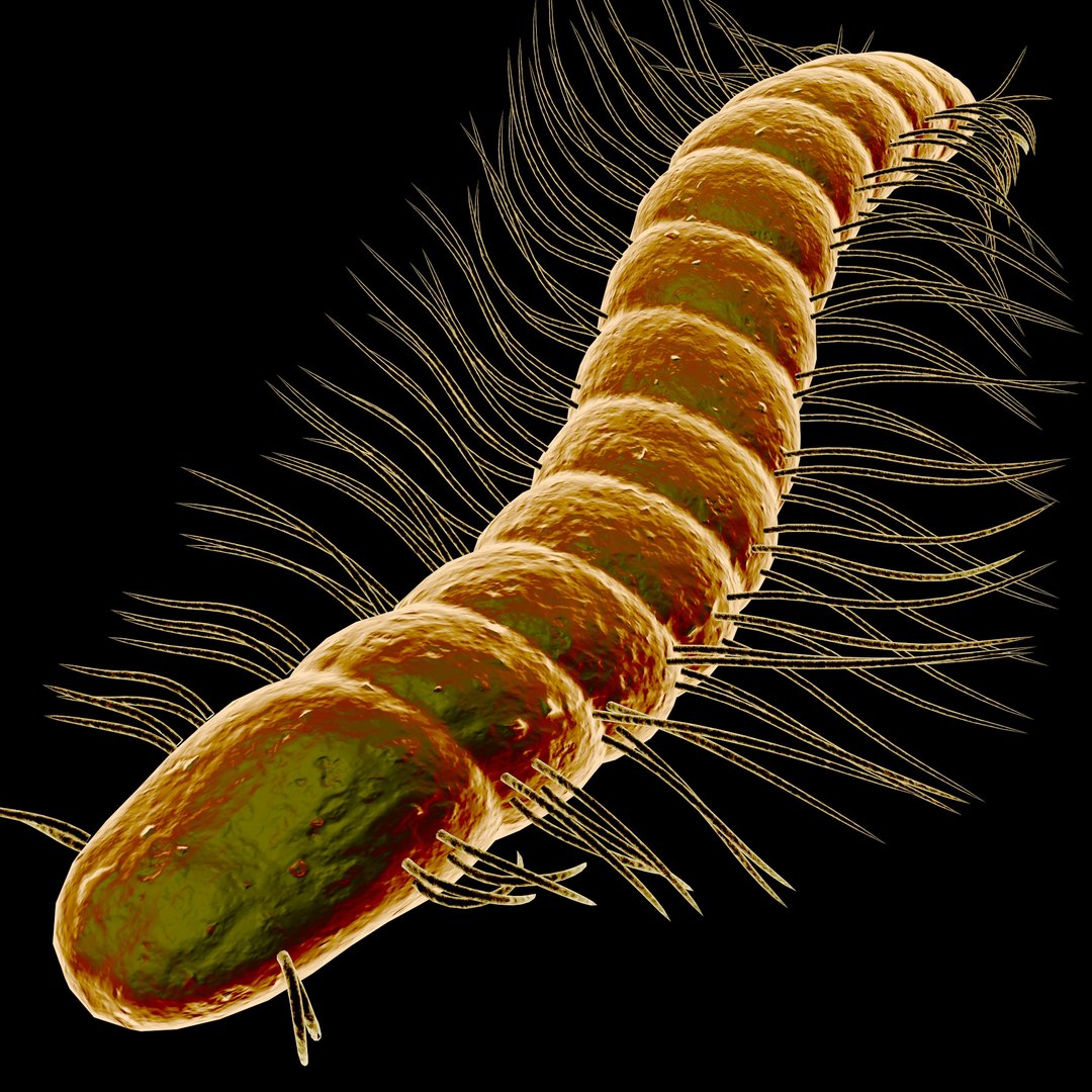 3D Microbe Model - TurboSquid 1972726