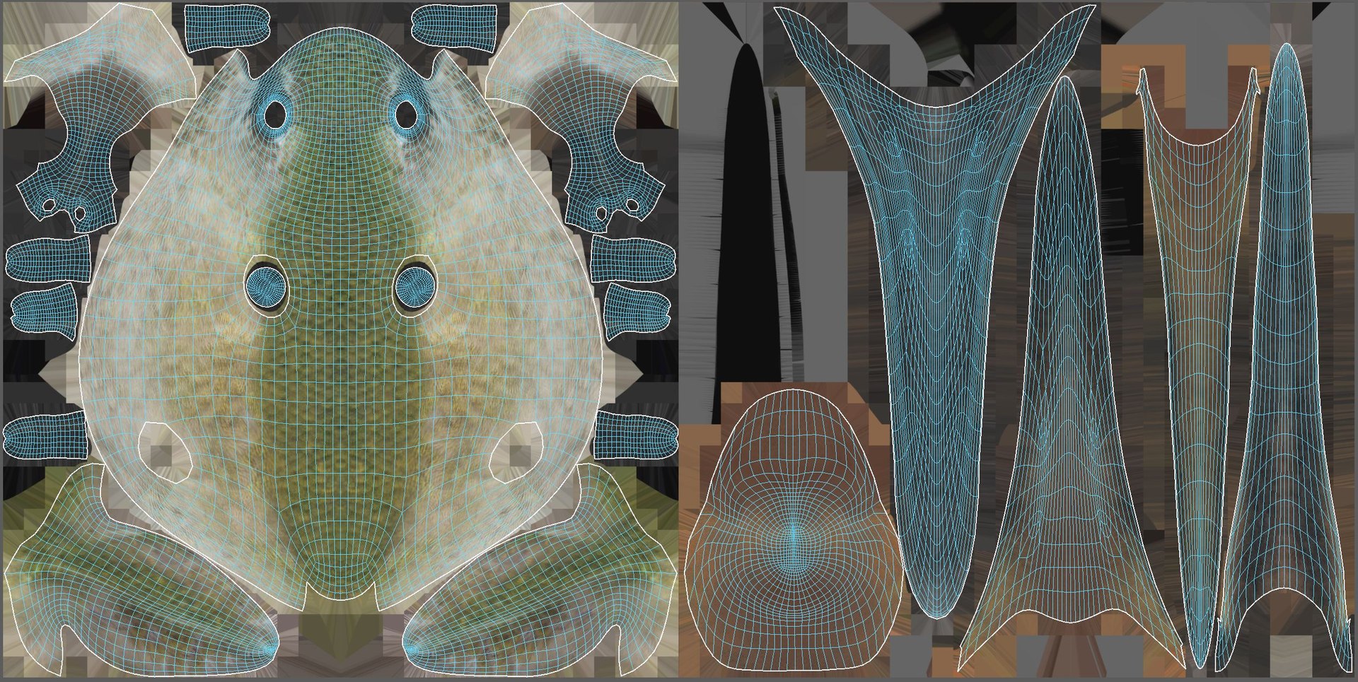Hummingbird Bird Wing 3D Model - TurboSquid 1588207