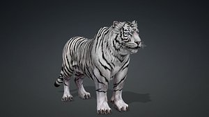 Tiger 3D Models for Download | TurboSquid