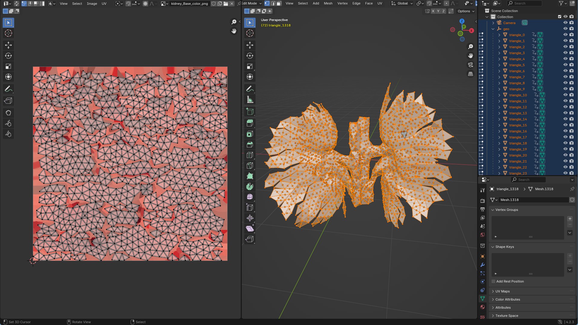 3D Origami Human Kidney Unfolding Growing Animation - TurboSquid 2351360