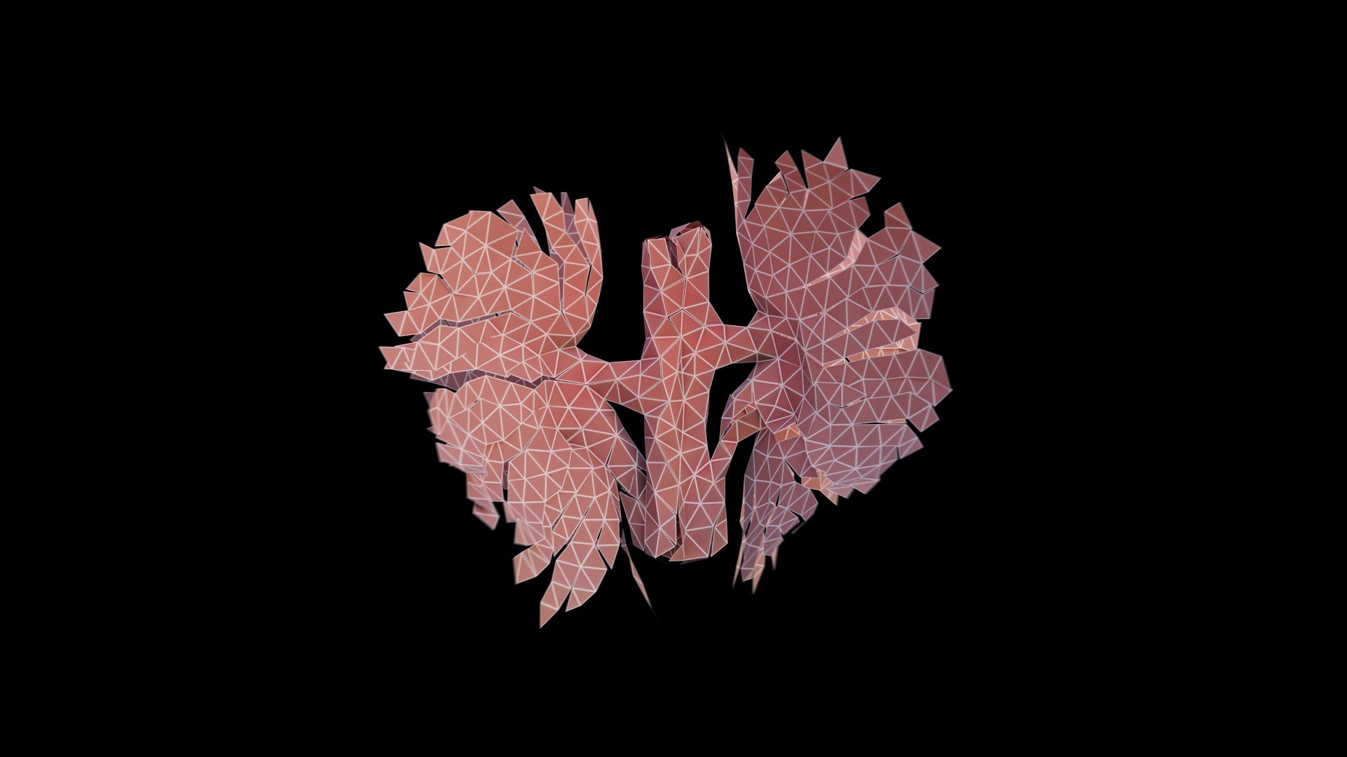 3D Origami Human Kidney Unfolding Growing Animation - TurboSquid 2351360