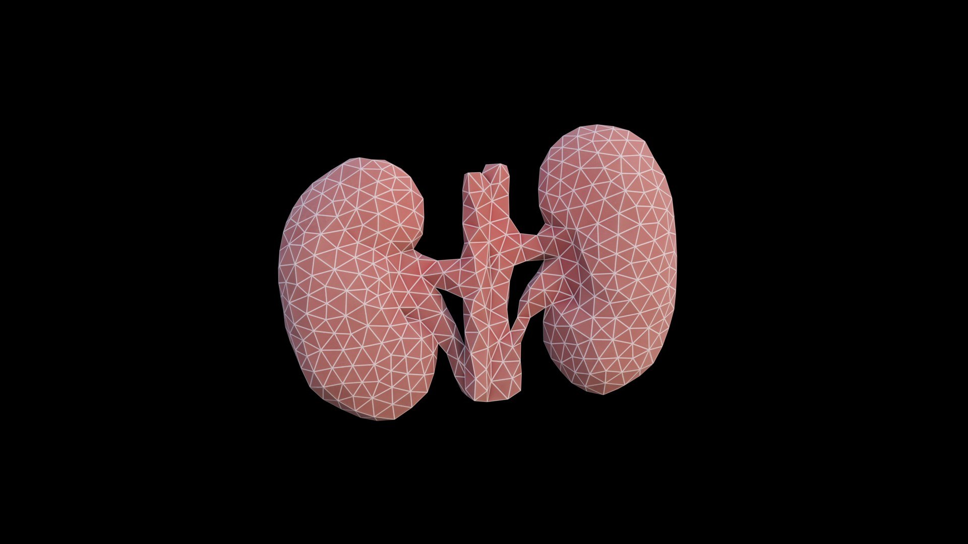 3D Origami Human Kidney Unfolding Growing Animation - TurboSquid 2351360