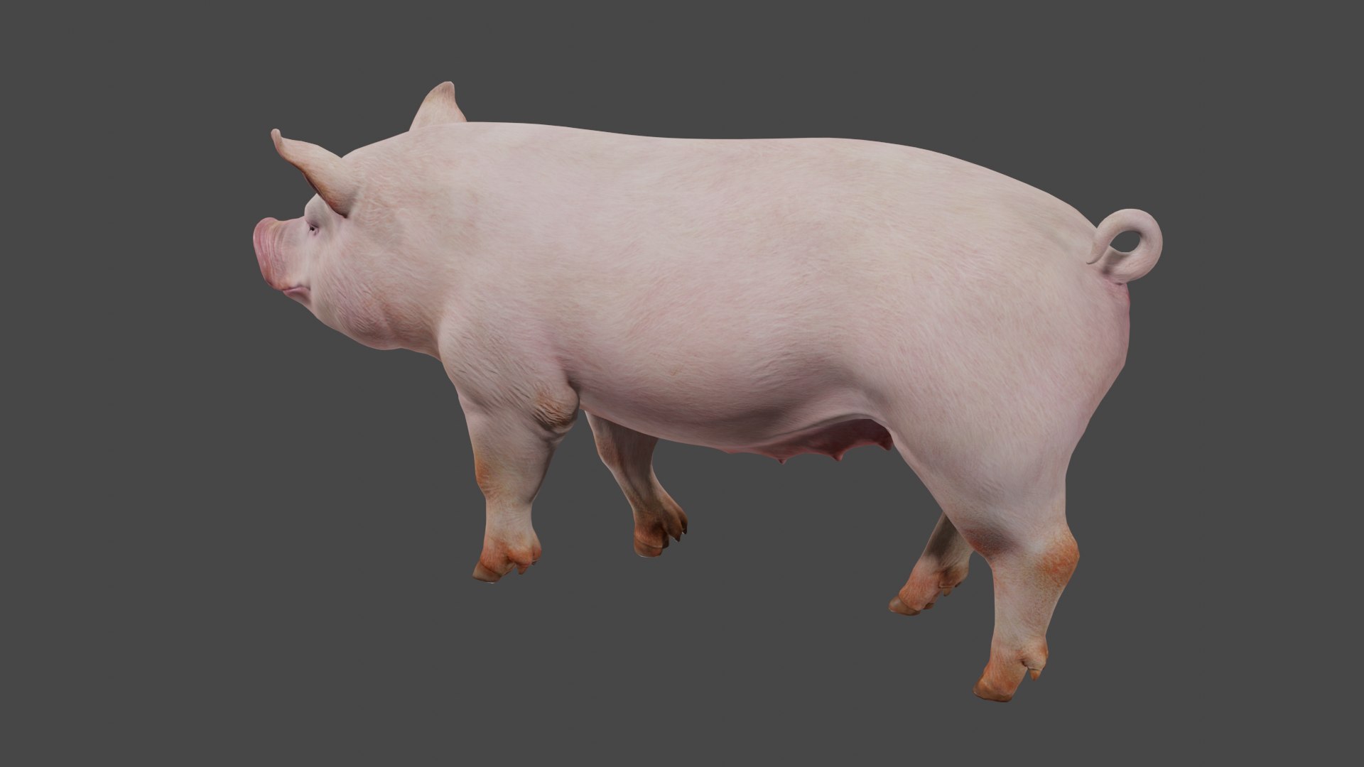 3D Model Pig - TurboSquid 2366839