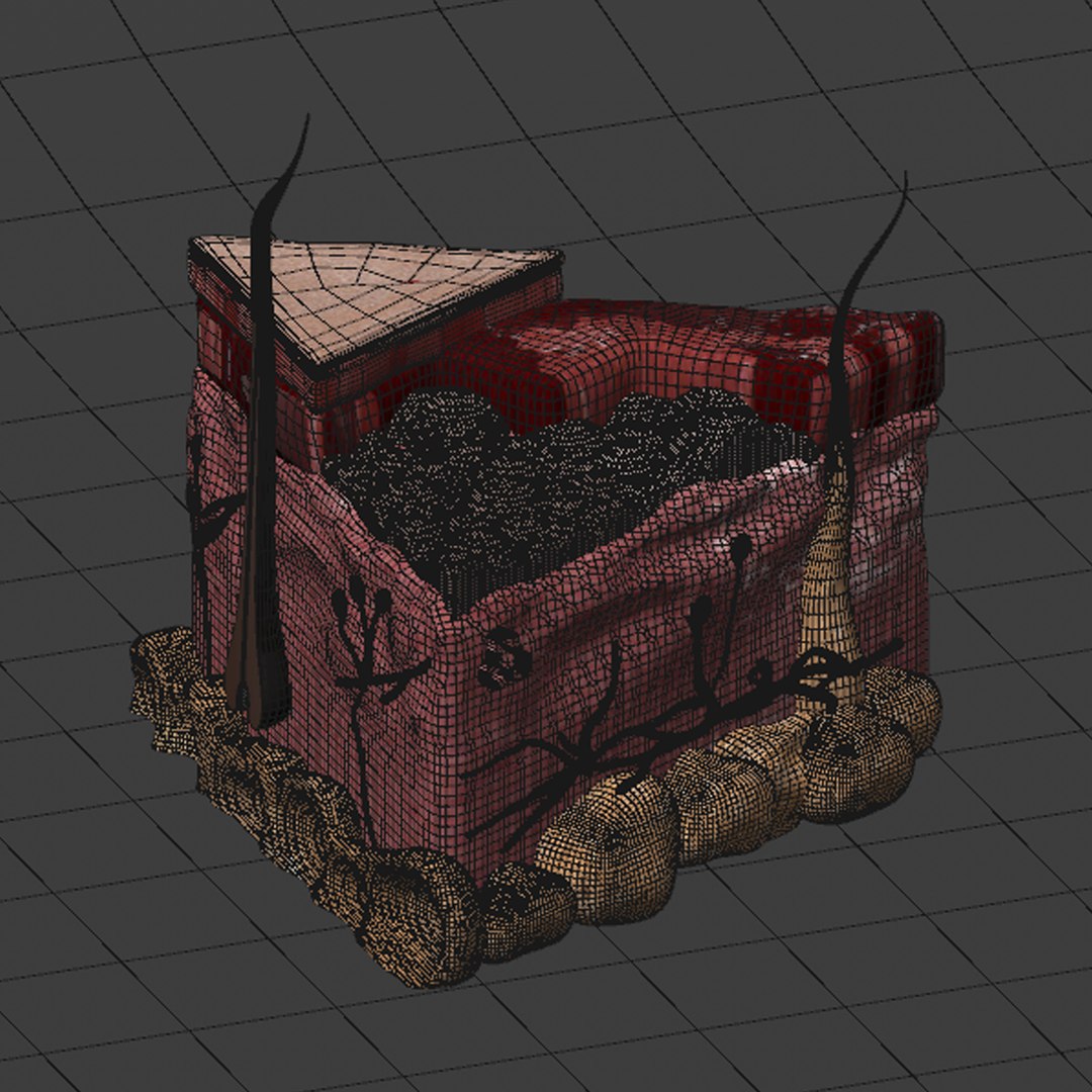 3D Skin Cell Model Model - TurboSquid 2158082