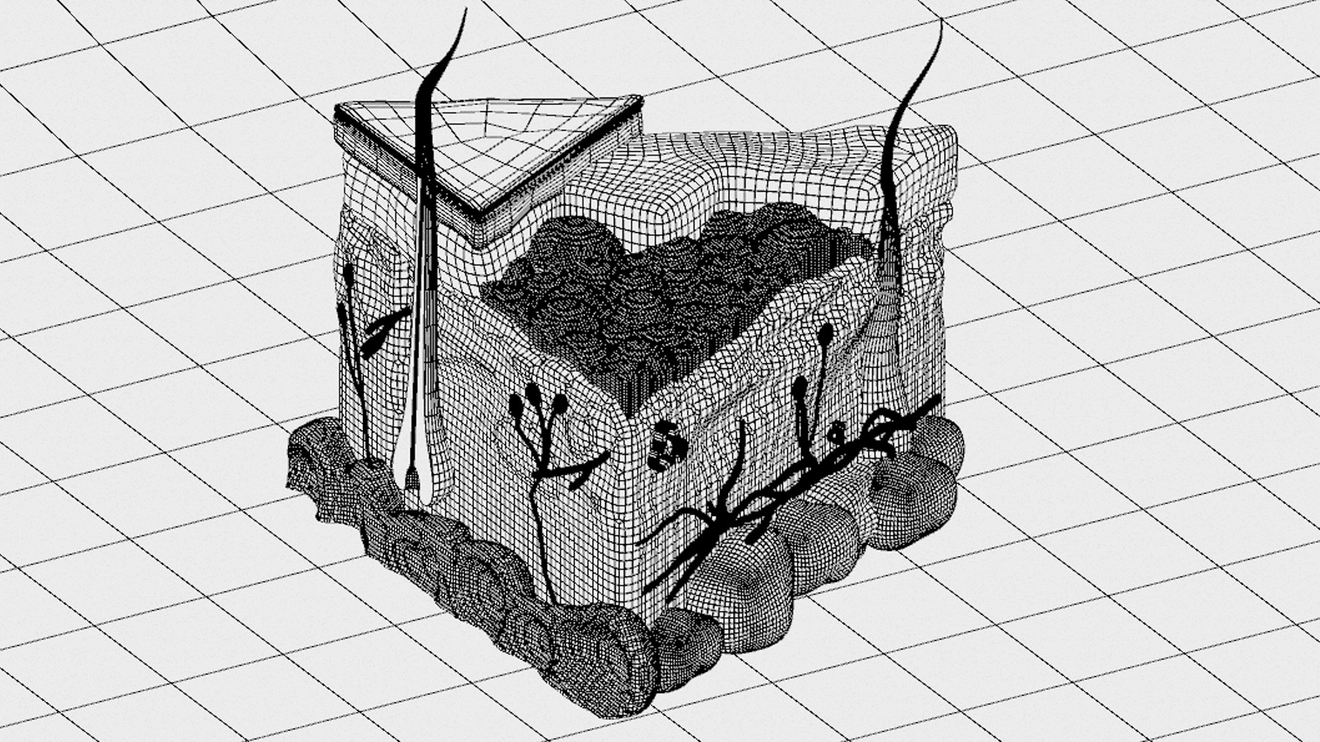 3D Skin Cell Model Model - TurboSquid 2158082