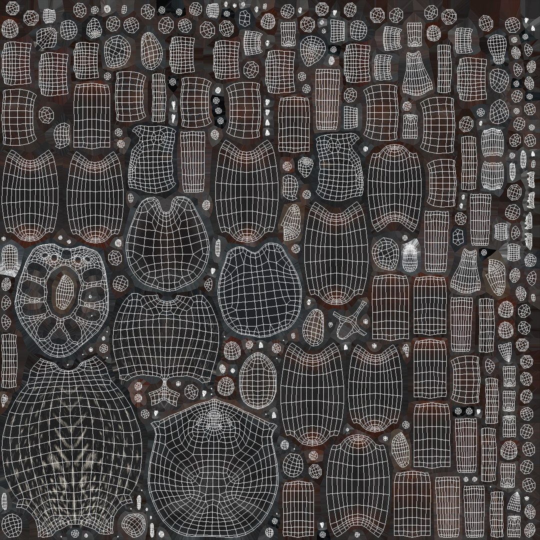 Australian Black House Spider 3D - TurboSquid 2158705