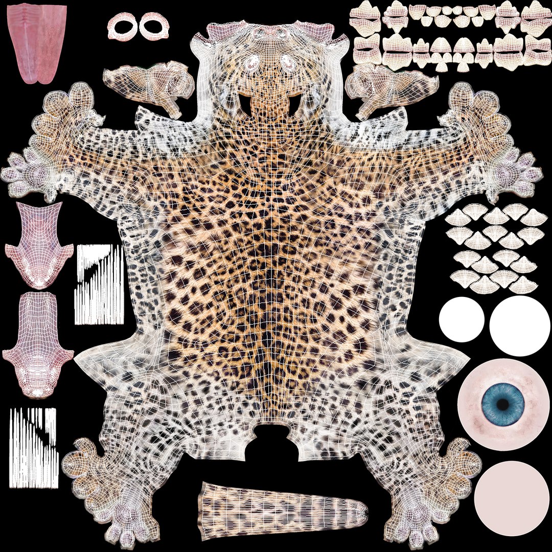 3D Leopard Cub Standing Pose With Fur Model - TurboSquid 2320356