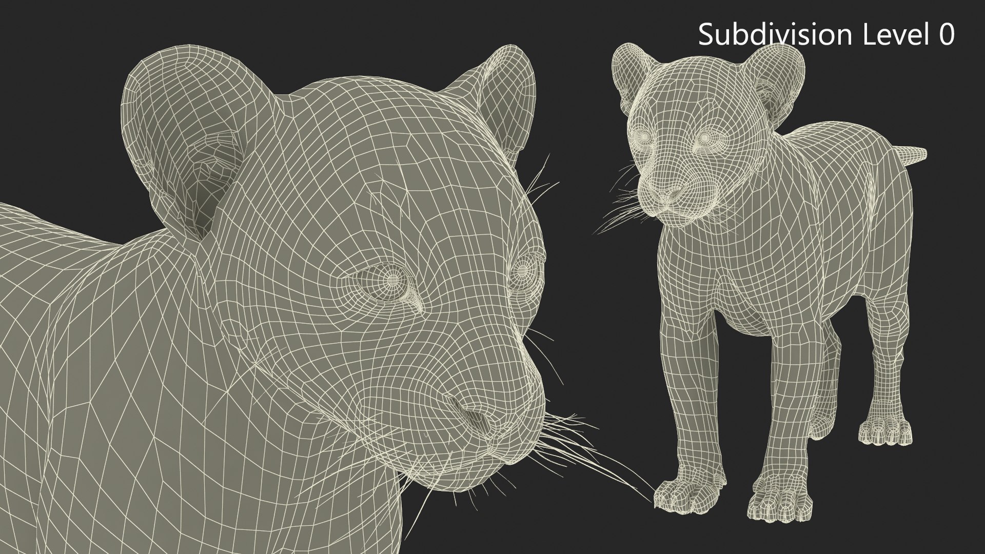 3D Leopard Cub Standing Pose With Fur Model - TurboSquid 2320356