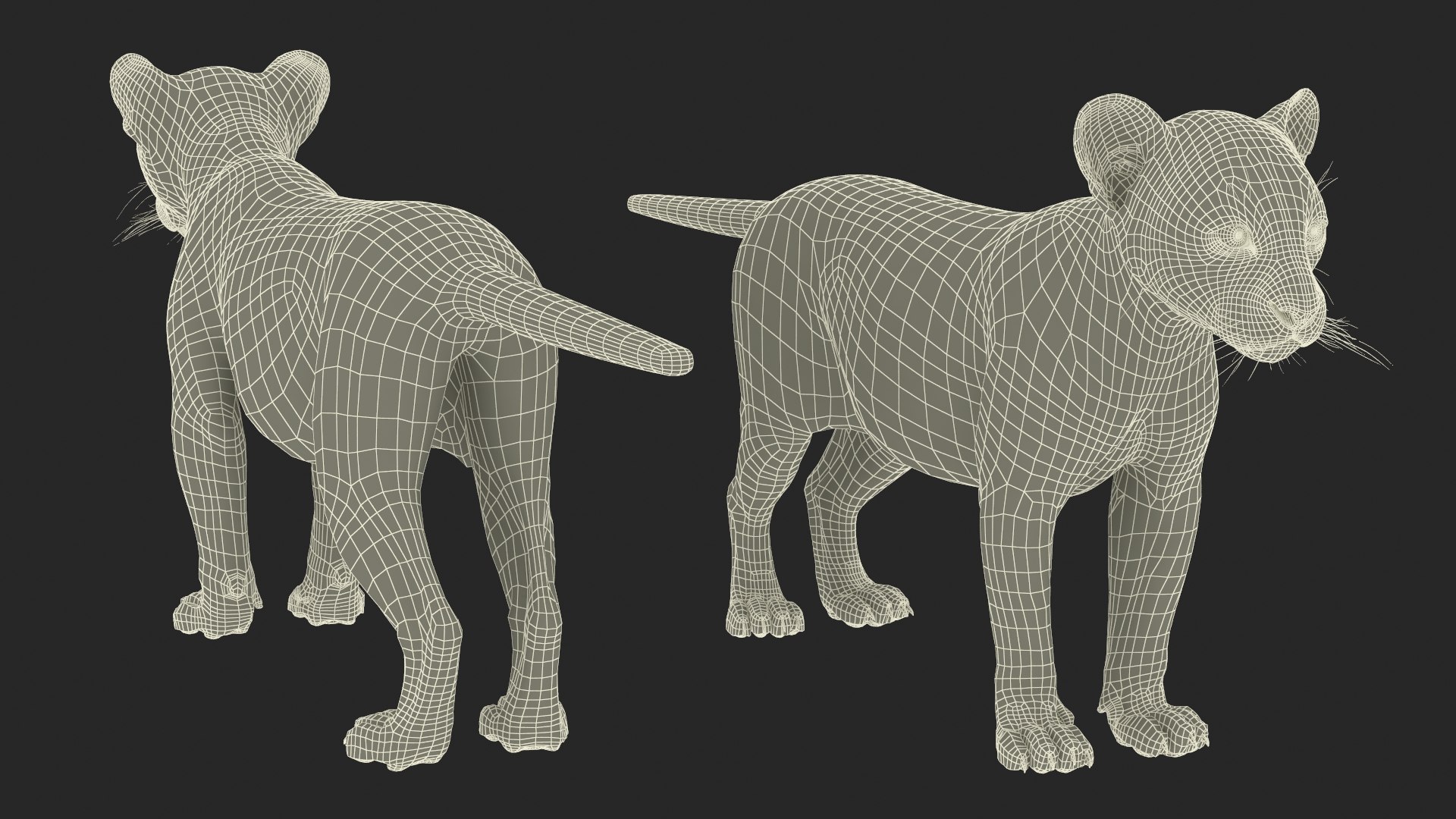 3D Leopard Cub Standing Pose With Fur Model - TurboSquid 2320356