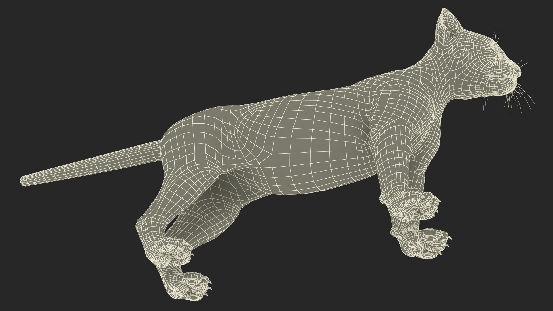 3D Leopard Cub Standing Pose With Fur Model - TurboSquid 2320356