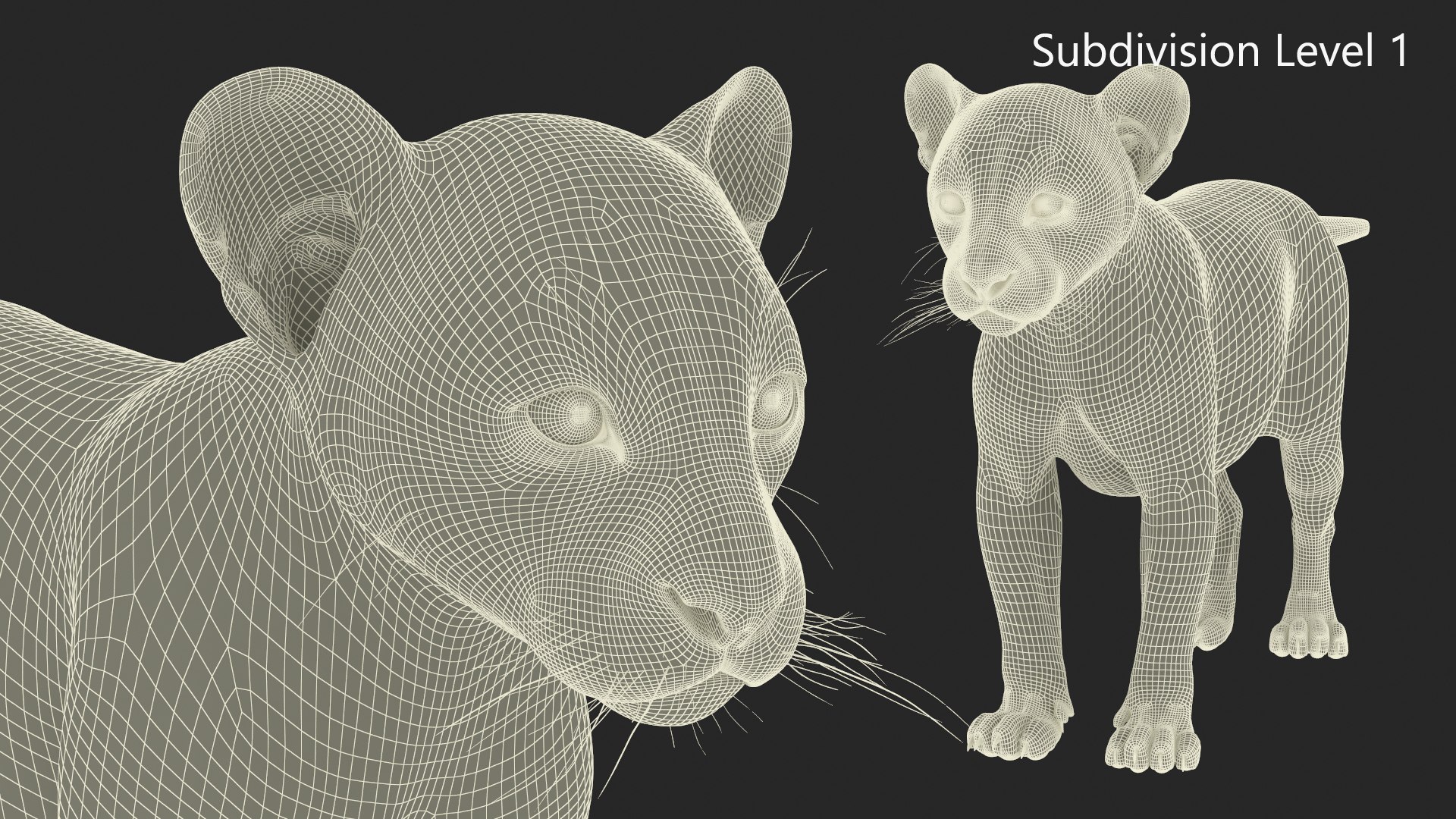 3D Leopard Cub Standing Pose With Fur Model - TurboSquid 2320356