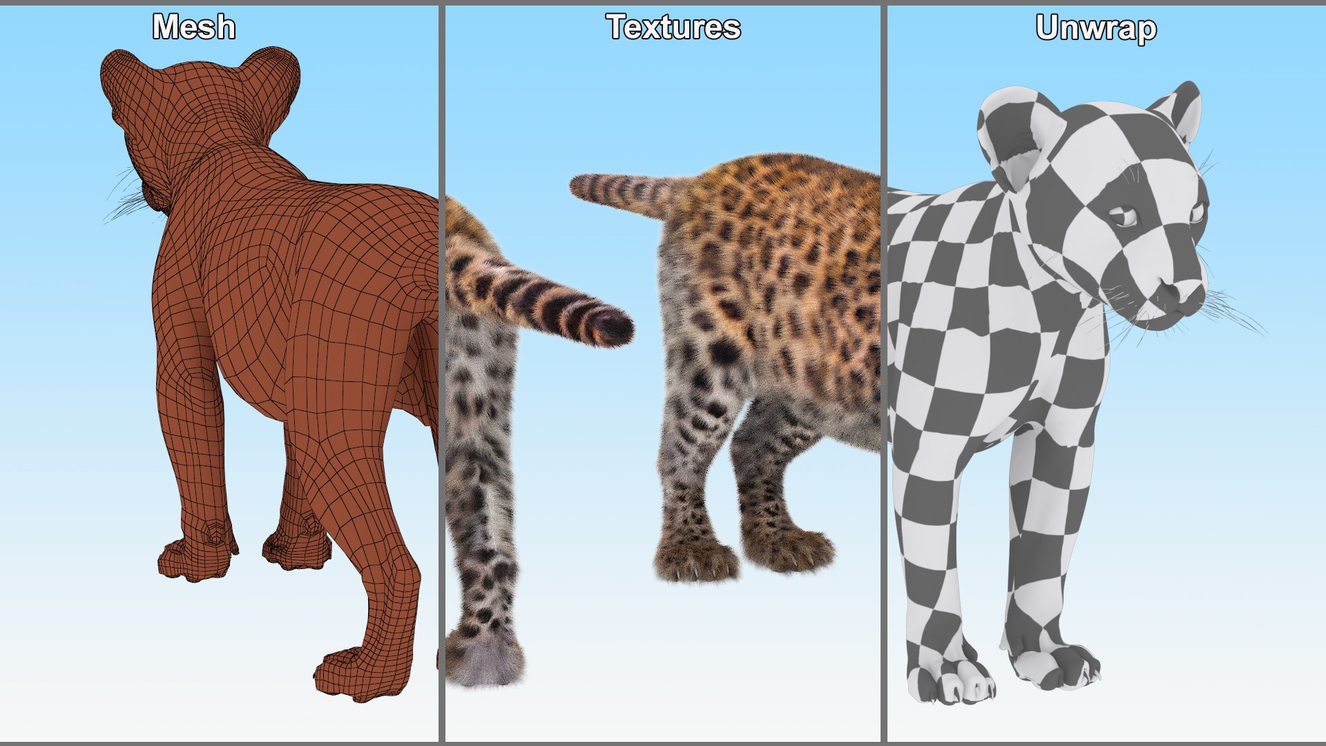 3D Leopard Cub Standing Pose With Fur Model - TurboSquid 2320356