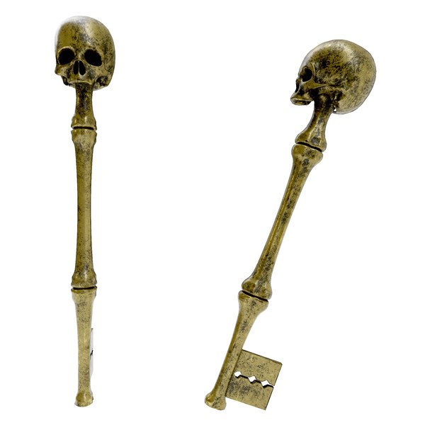 3D Skull Key 3d model - TurboSquid 1976472