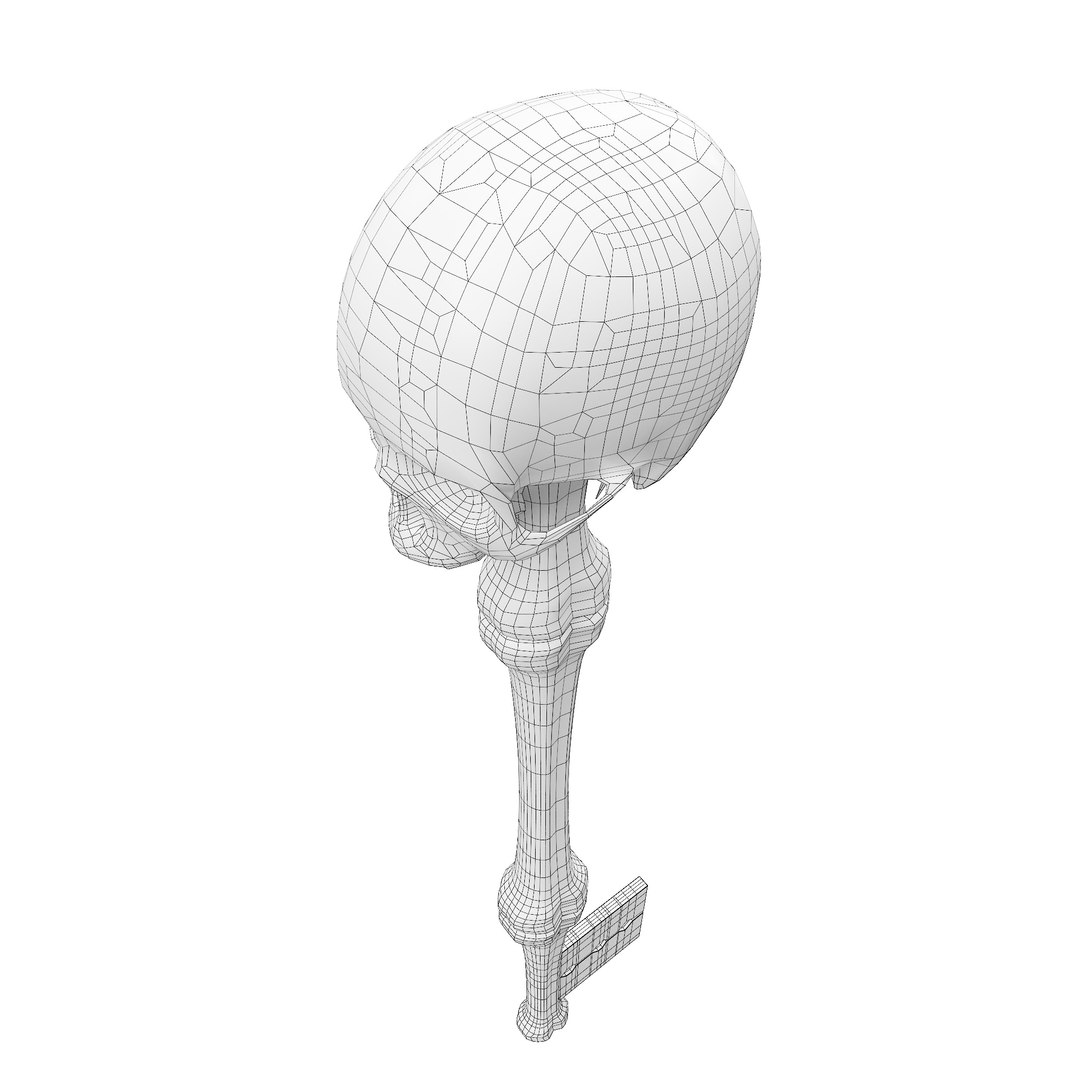 3D Skull Key 3d Model - TurboSquid 1976472