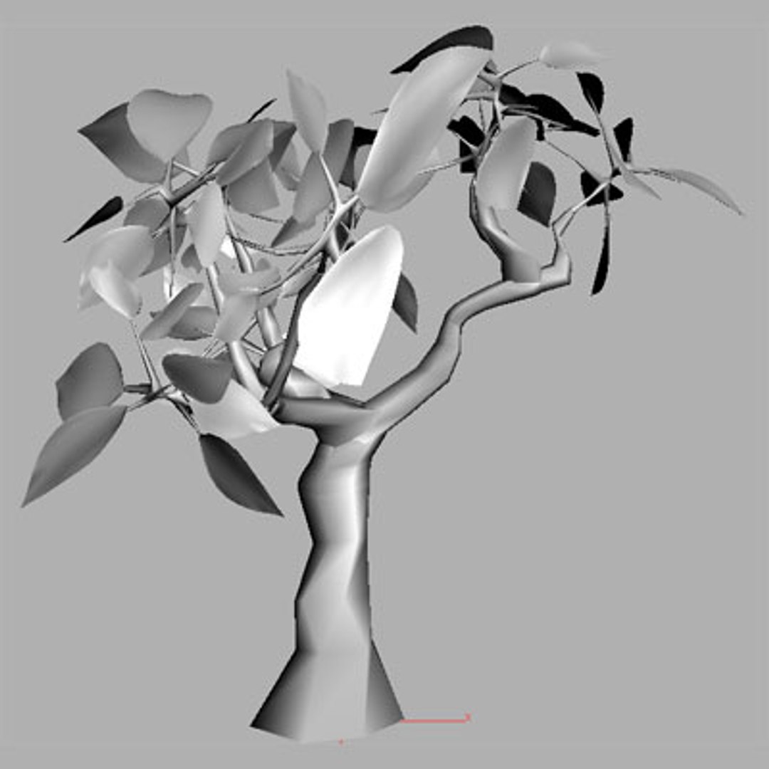 Maya Tree