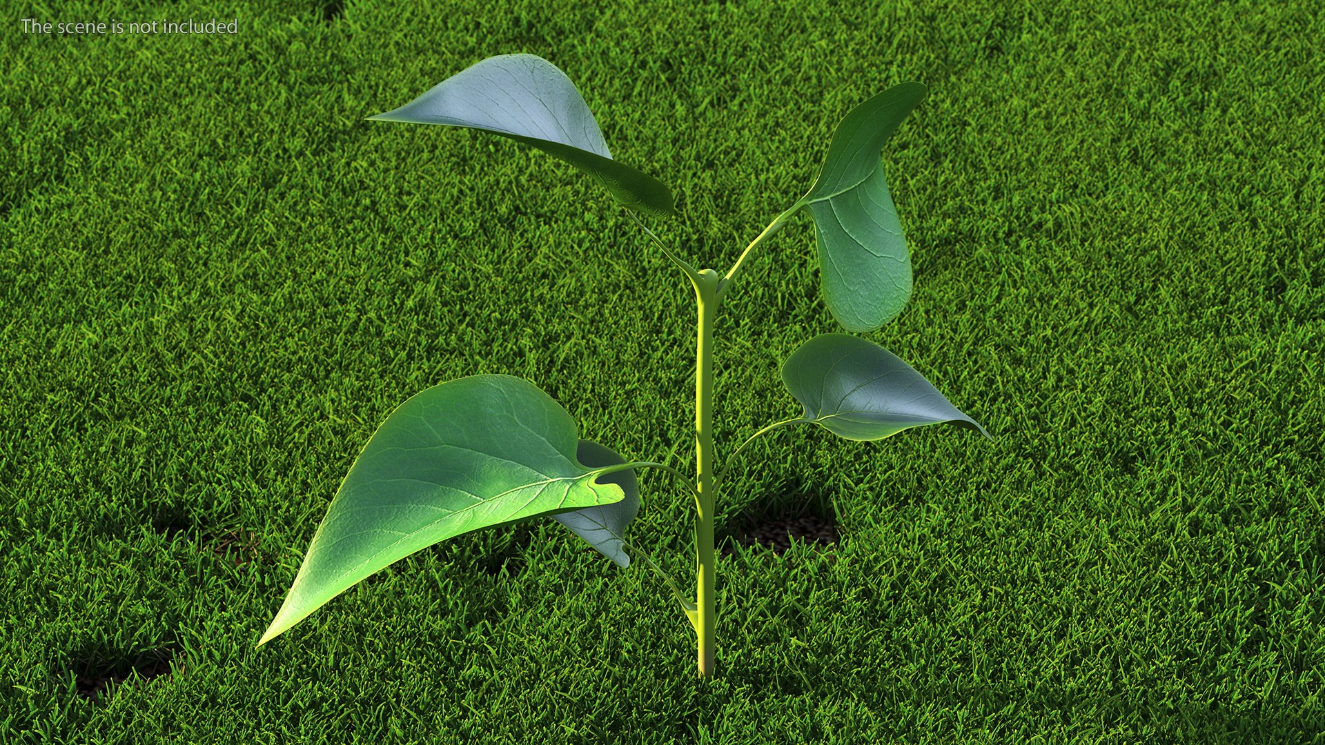 Branch With Green Leaves 3D Model - TurboSquid 2148523