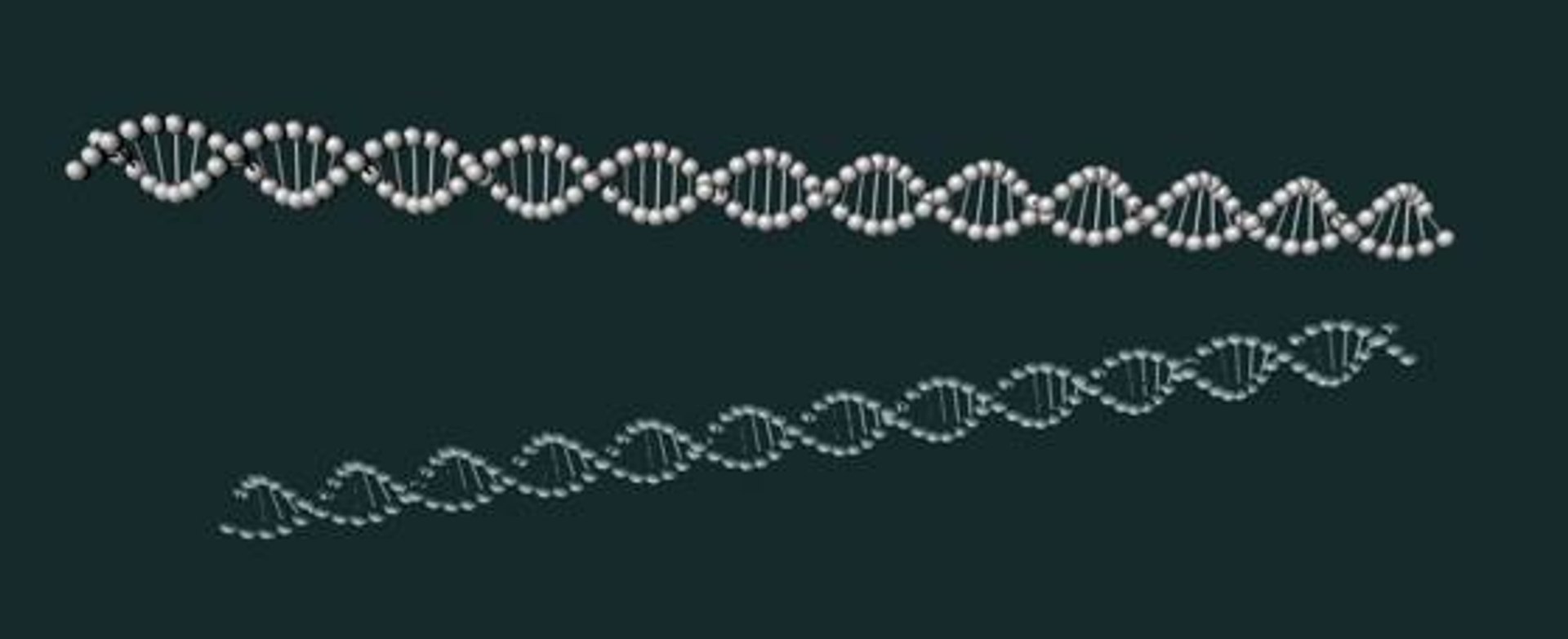 3d 3ds Dna Strand