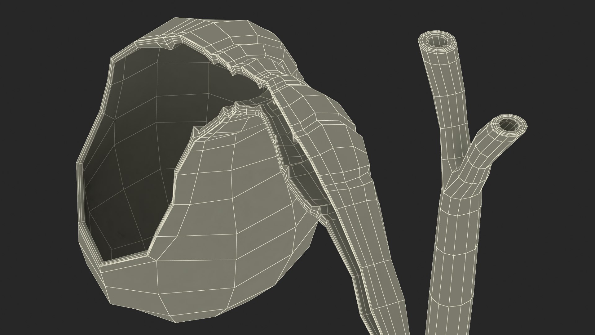 Gall Bladder Cut Plastic 3D Model - TurboSquid 2269826