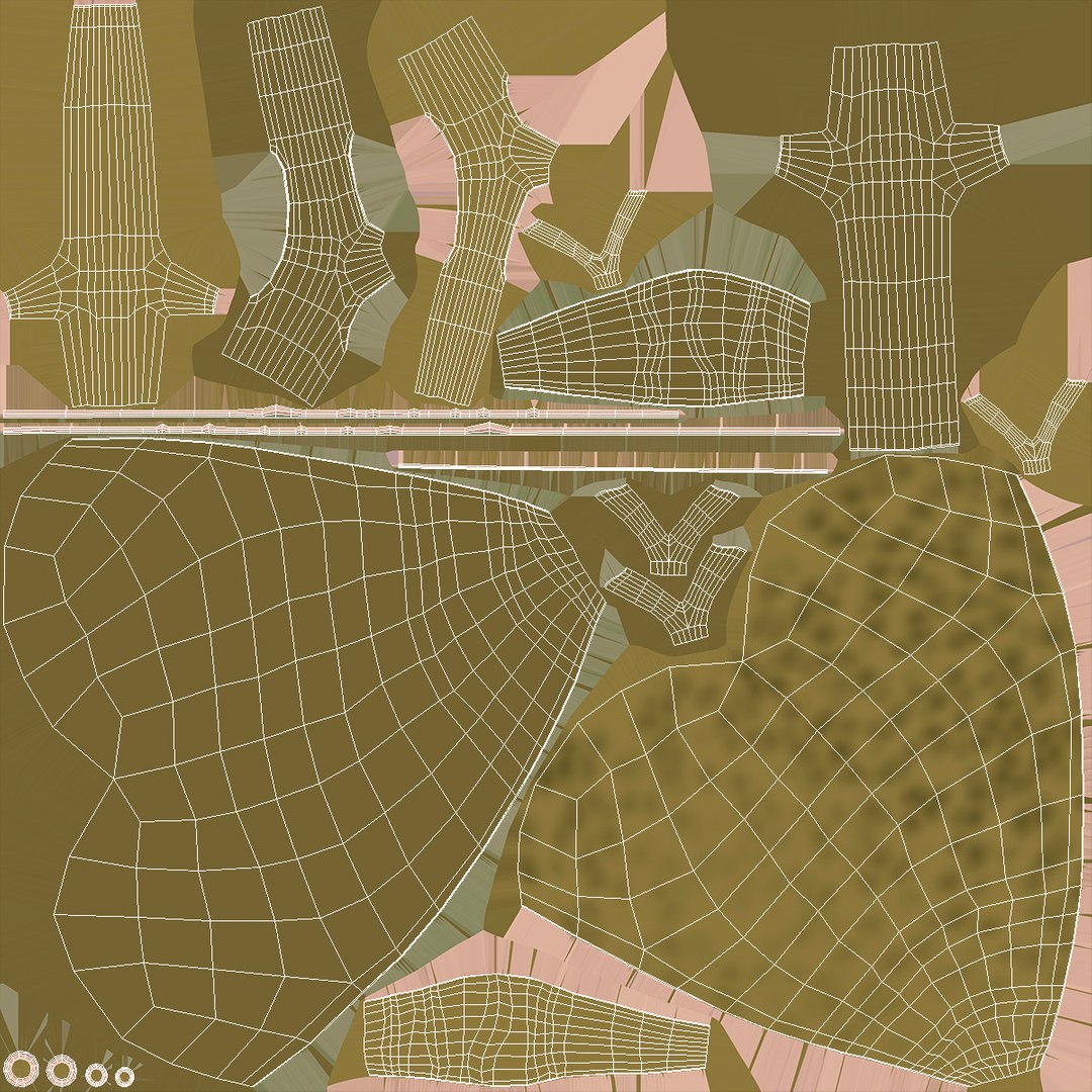 Gall Bladder Cut Plastic 3D Model - TurboSquid 2269826