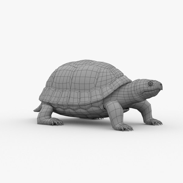 modelo 3d tortoise basemesh - TurboSquid 2007176