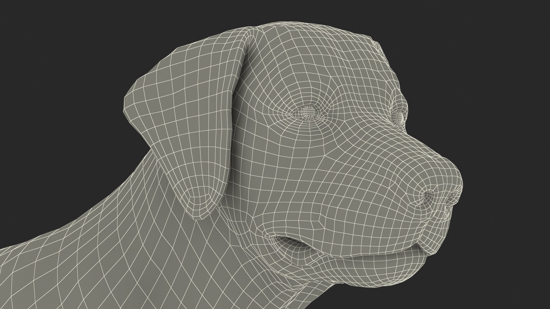 Labrador Dog Brown Standing 3D Model - TurboSquid 1824393