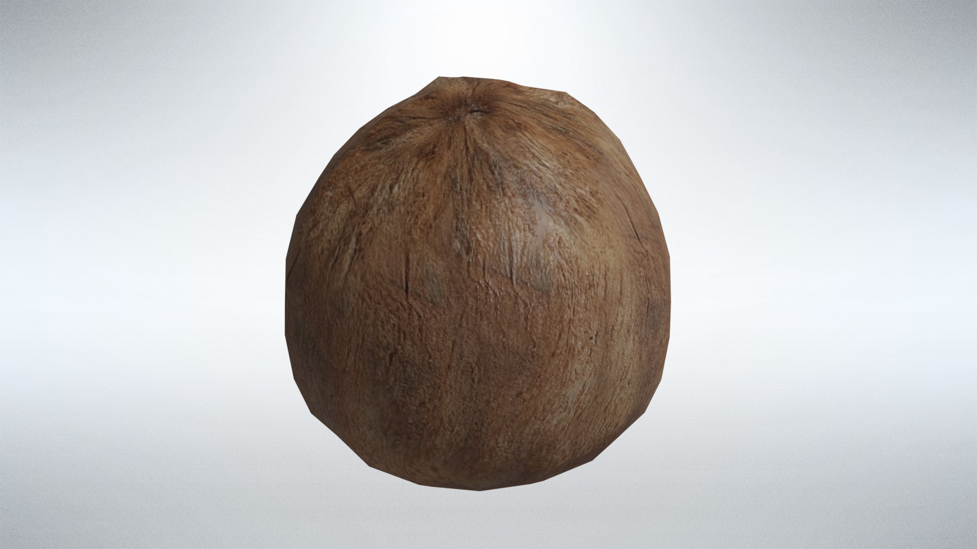3D Coconut - TurboSquid 1955620