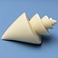 3d Seashells Sea Shell Model