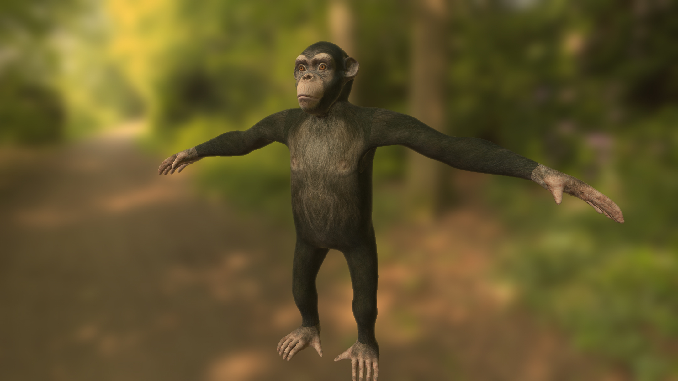 3d chimpanzee chimp model