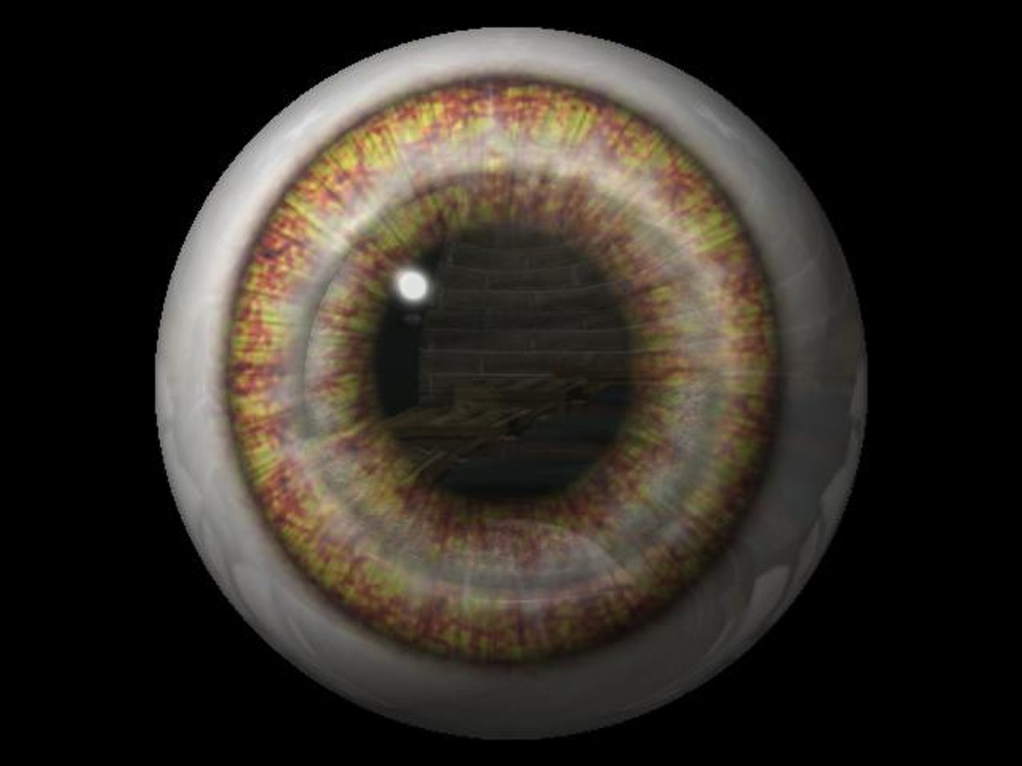 Lightwave Eyes