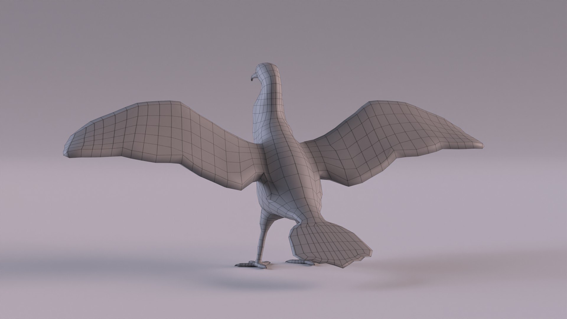 3D Model Magnificent Frigatebird Fregata Magnificens - TurboSquid 1506541