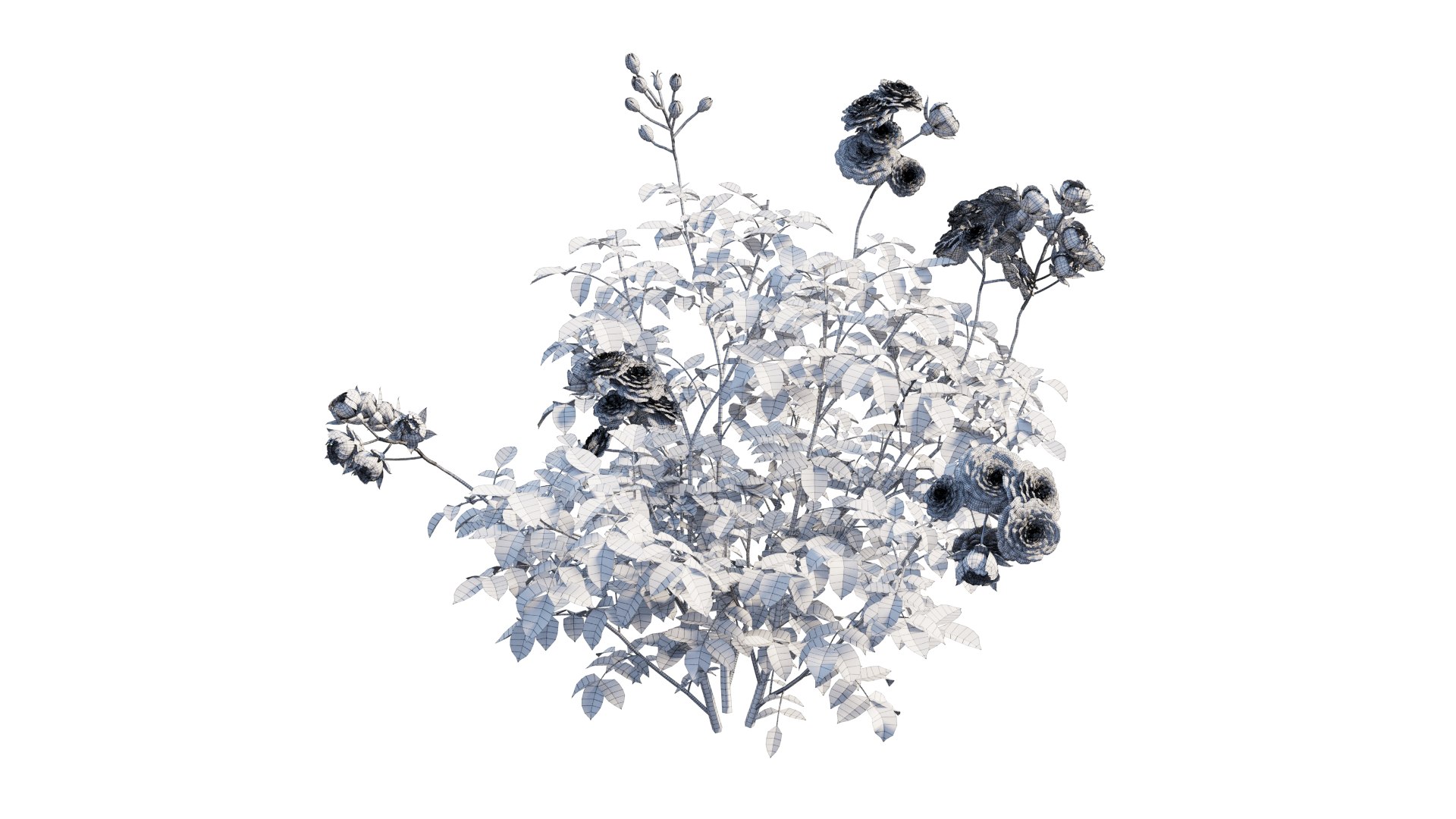 3D Rose Plant Set 65 Model - TurboSquid 1733046