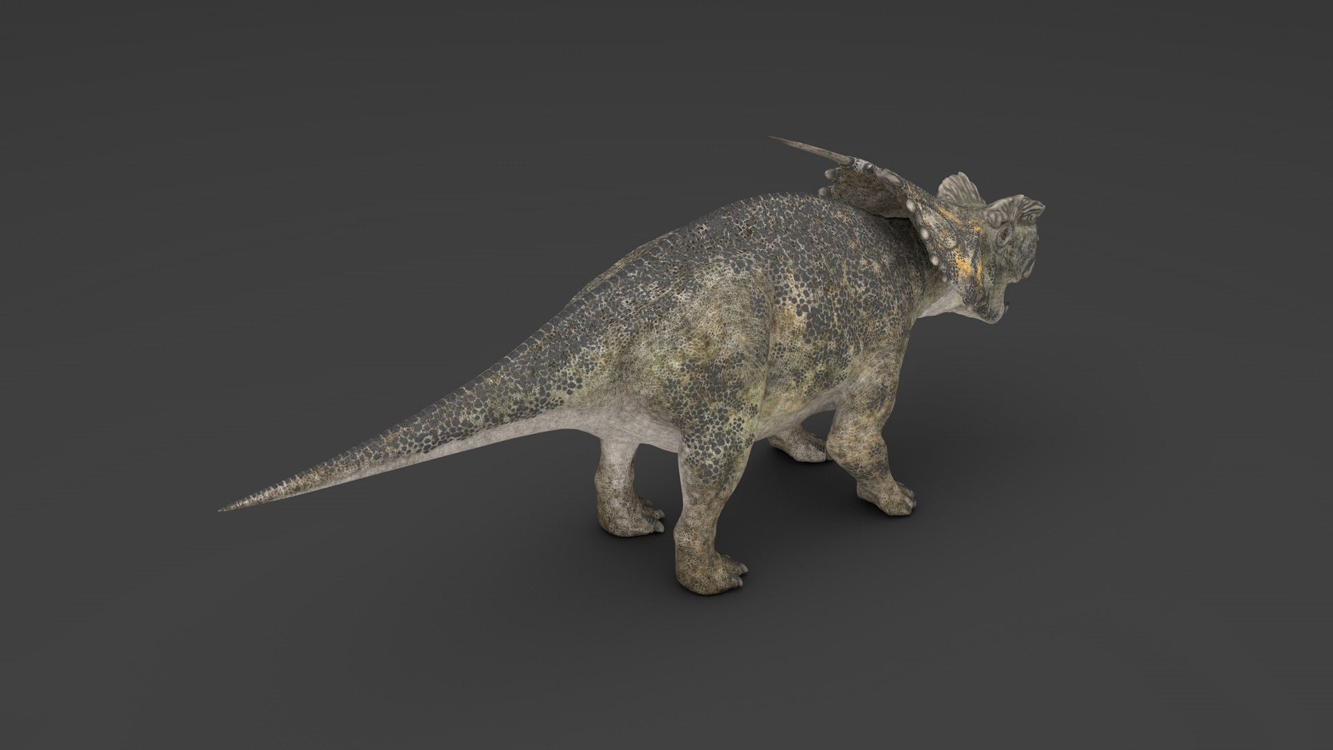 3D Achelousaurus Dinosaur - TurboSquid 2365776