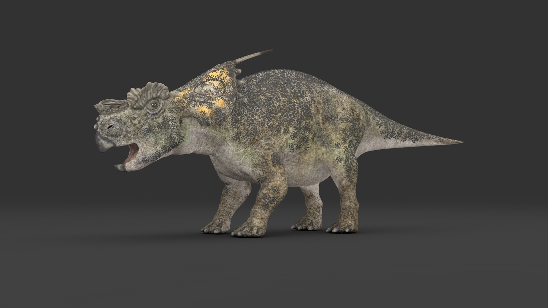 3D Achelousaurus Dinosaur - TurboSquid 2365776
