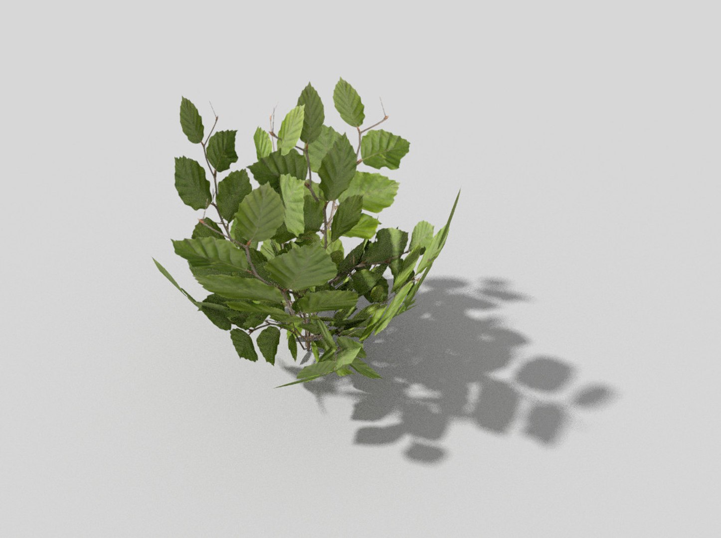 fern games 3d model