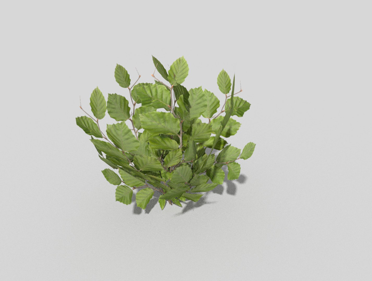 fern games 3d model