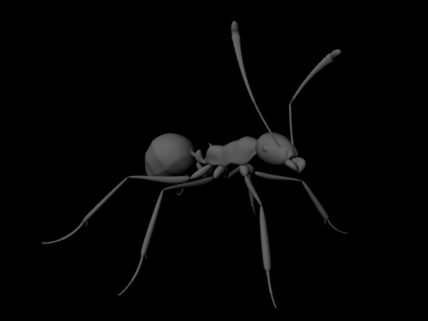 Invertebrate 3D Models for Download | TurboSquid
