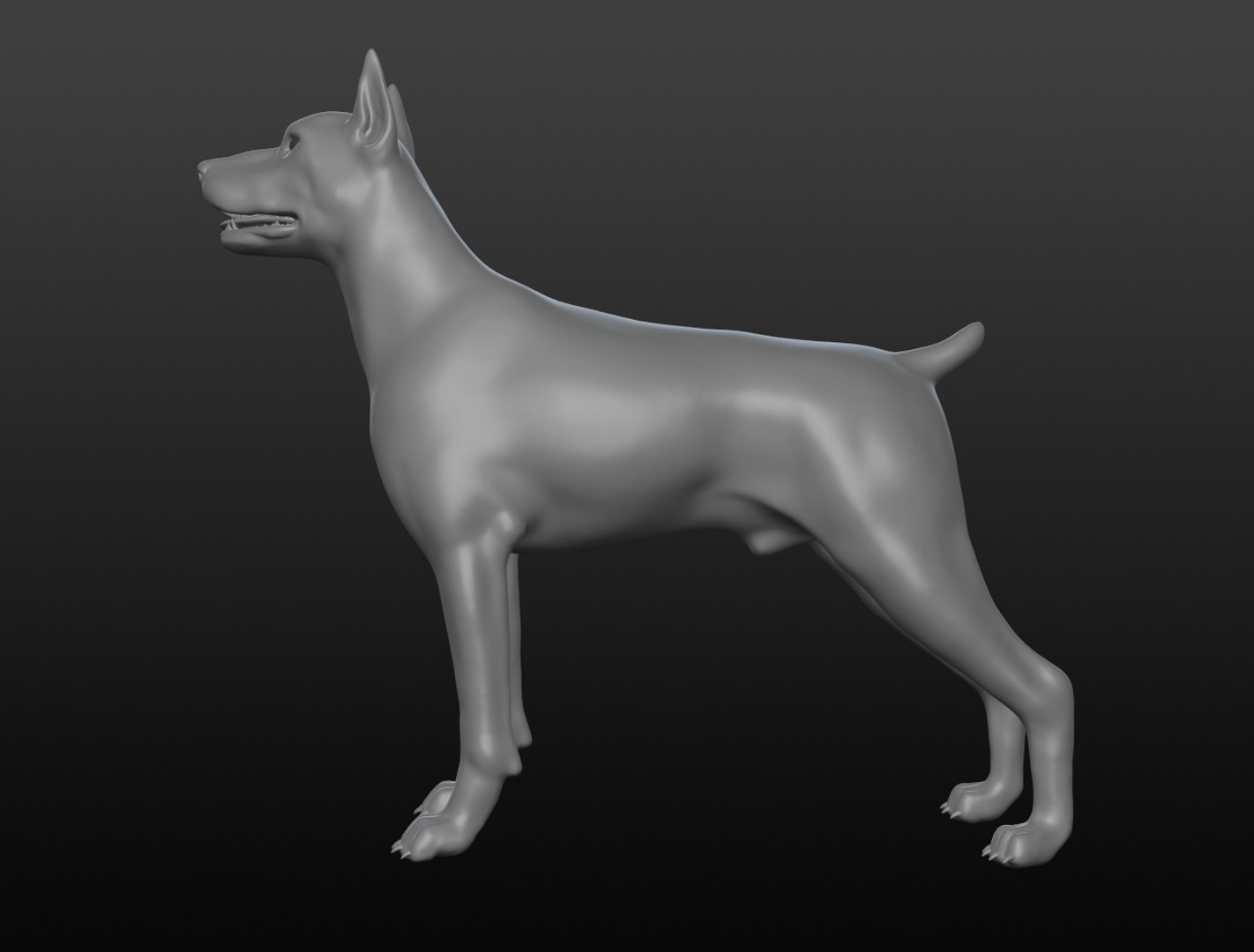 Doberman Base Mesh Model - TurboSquid 1411575