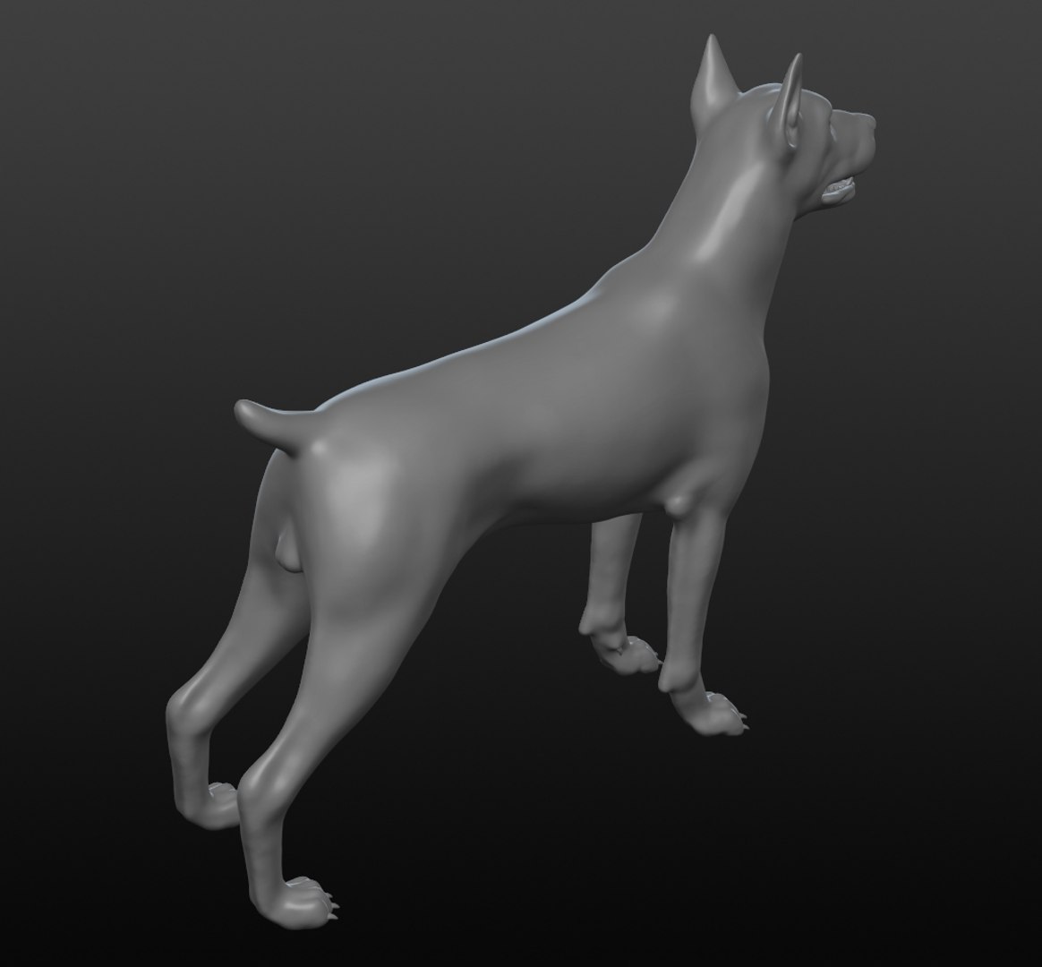 Doberman Base Mesh Model - TurboSquid 1411575